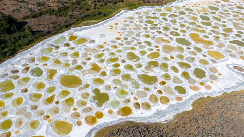 Wisata Kliluk (Spotted Lake) Kanada: Danau Bercak Ajaib dengan Pola ...